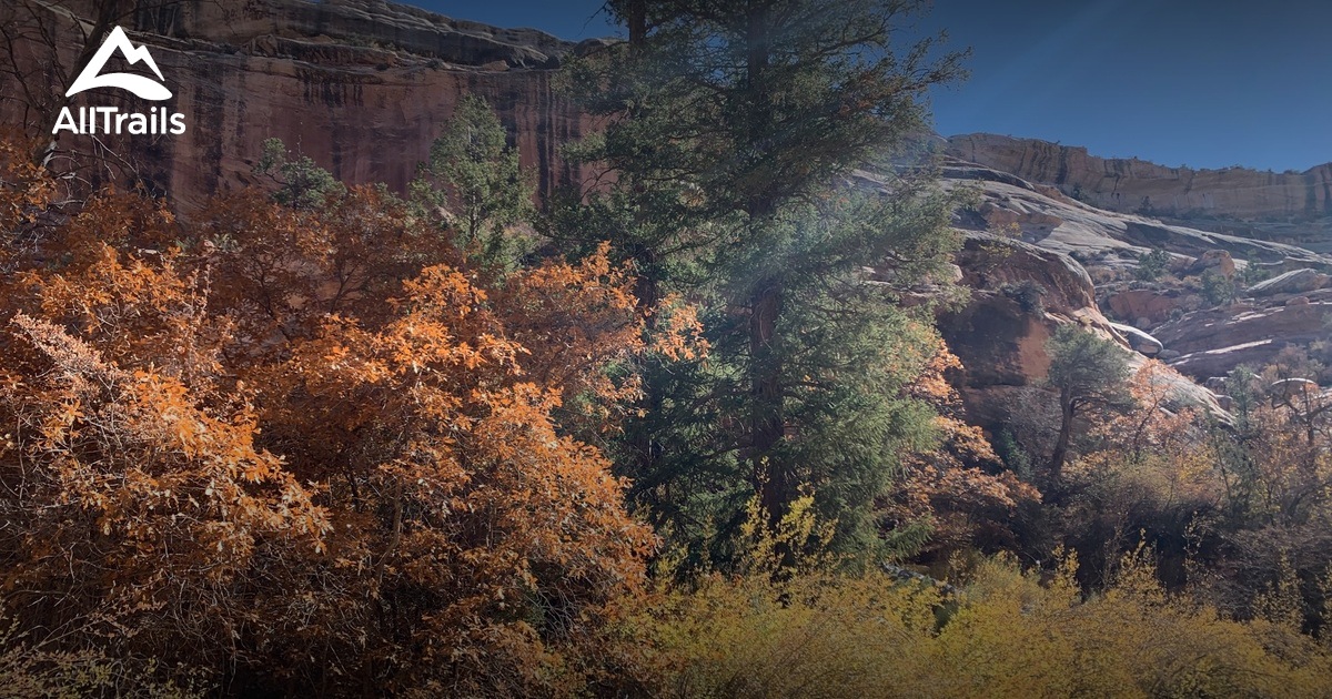 UT - Bears Ear National monument | List | AllTrails