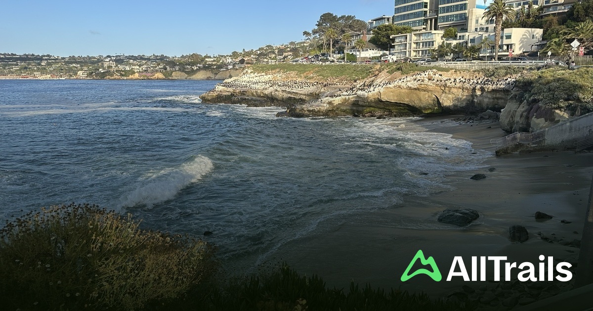 beach/ocean view trails | List | AllTrails