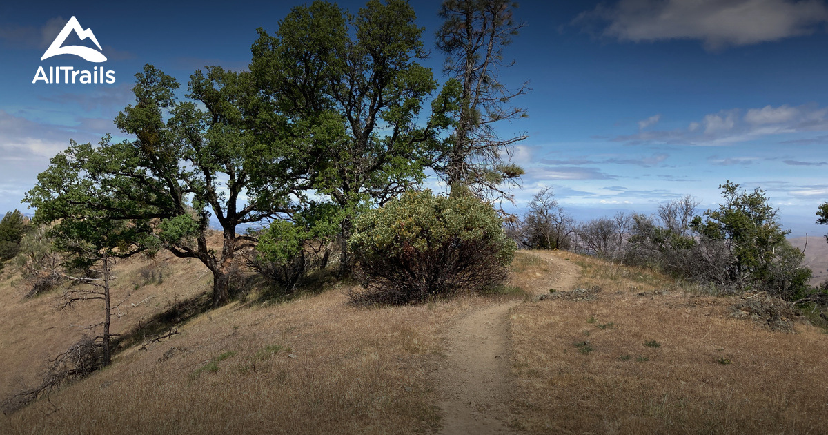 Top 10 East Bay Hikes - Mark Brauer | List | AllTrails