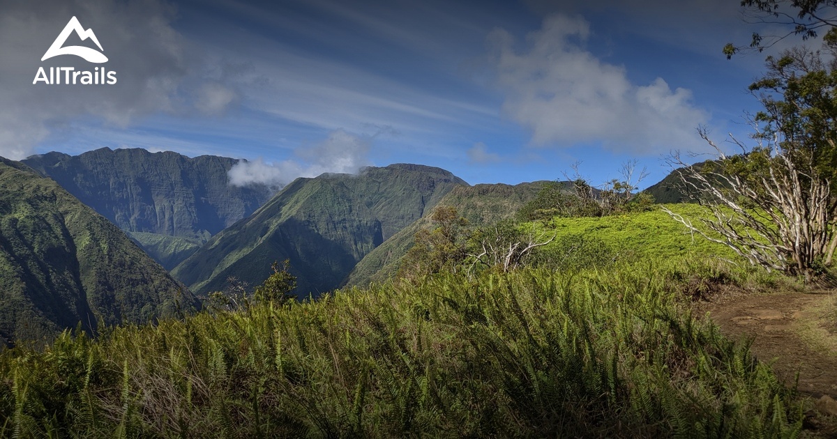 Maui Hikes | List | AllTrails