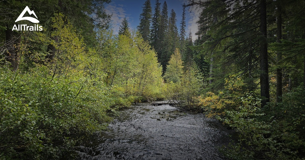 Washington Coast Hikes | List | AllTrails