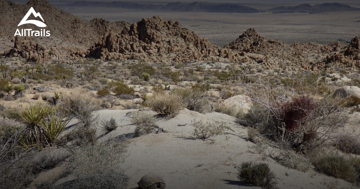 Yucca Valley | List | AllTrails