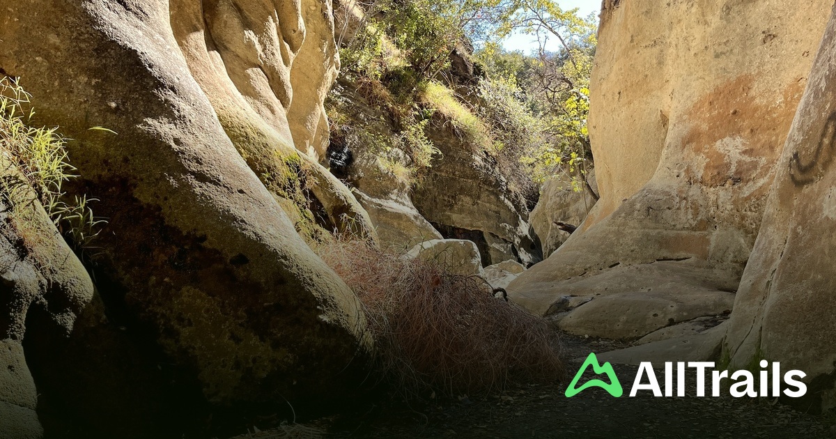 Hikes w/ Evan | List | AllTrails