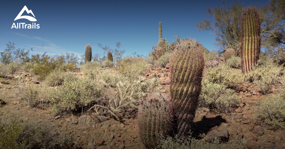 Apache Wash Trailhead | List | AllTrails