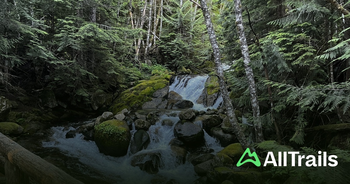 WDFW Getting started lakes | List | AllTrails