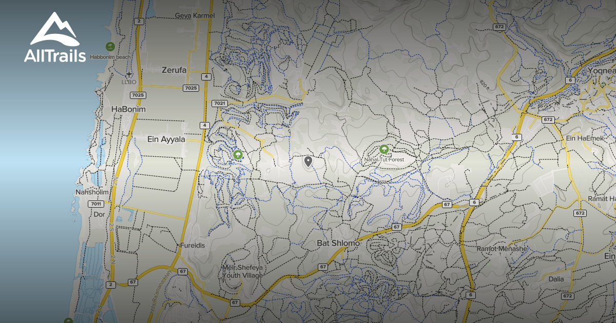 ISRAEL Carmel Mountains | List | AllTrails