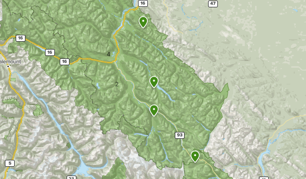 Jasper hiking trails | List | AllTrails