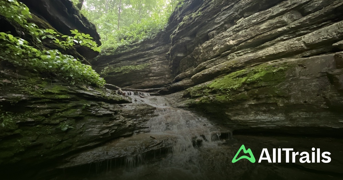 cave city | List | AllTrails