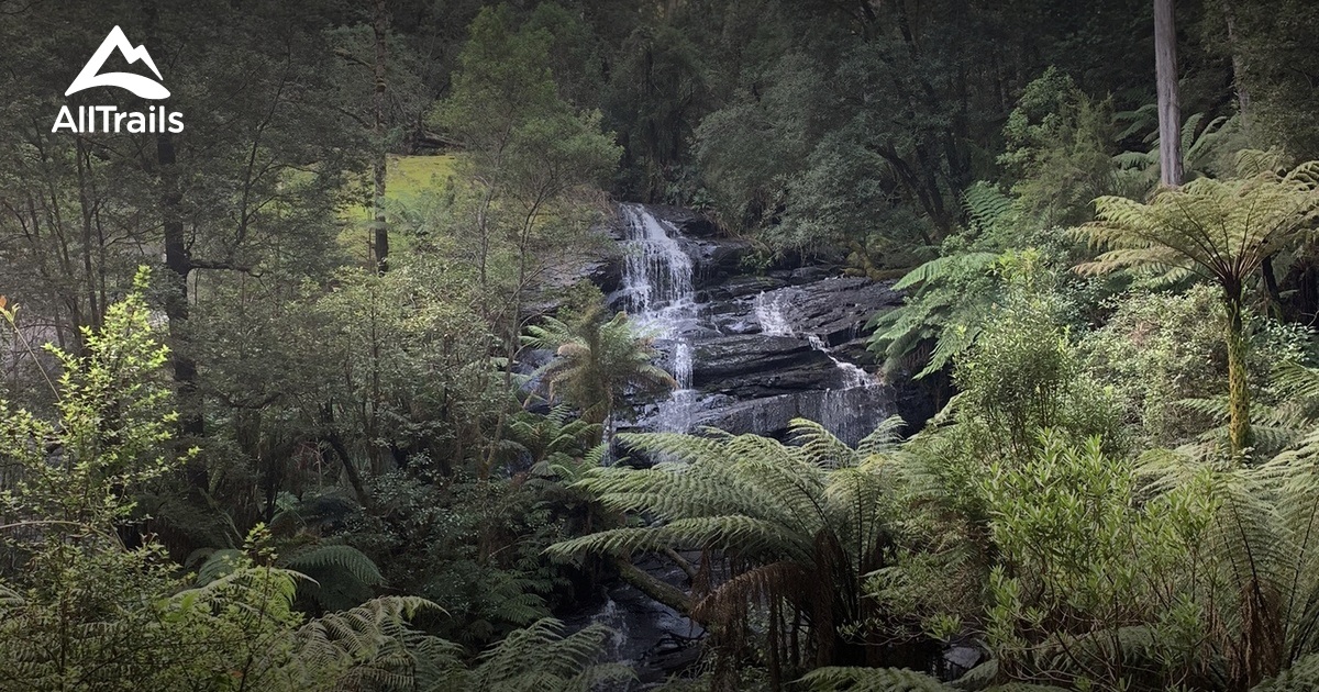 Otway ranges | List | AllTrails