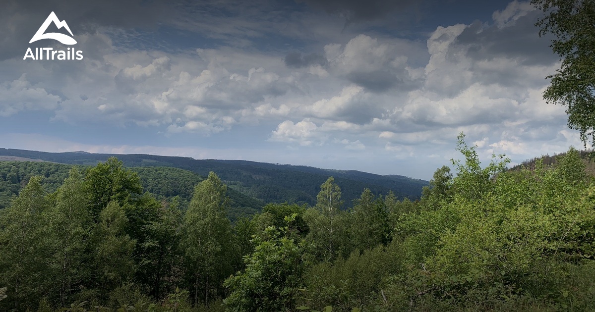 Harzer Touren | List | AllTrails
