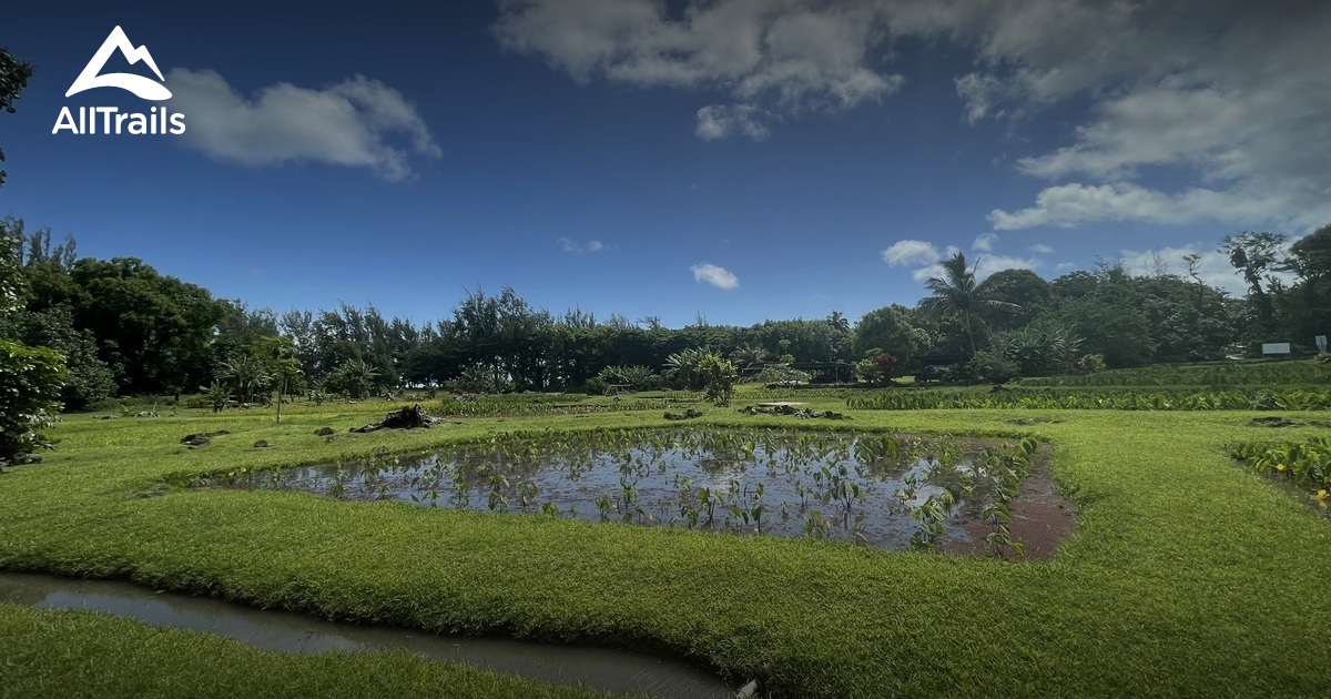 Kawa'i ideas | List | AllTrails