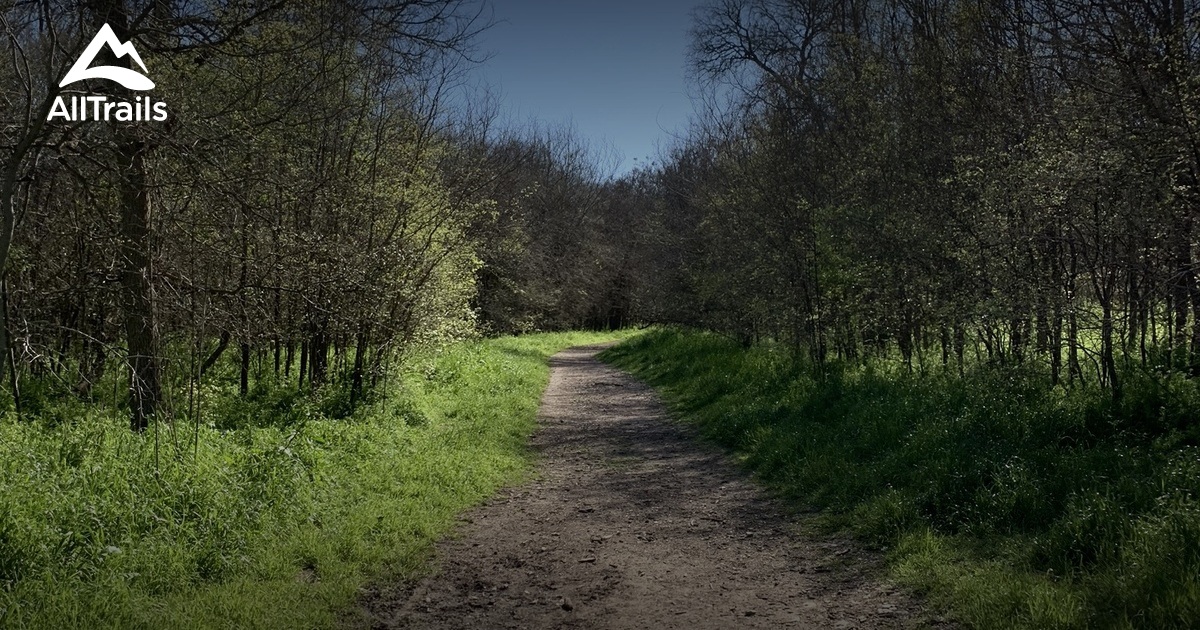 Austin Running Trails | List | AllTrails