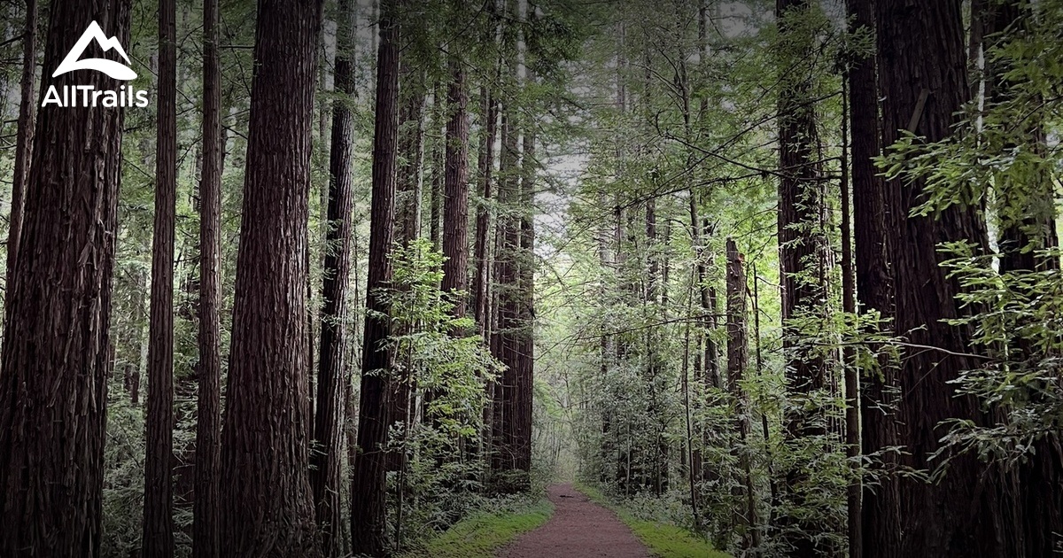 Nisene Marks Trails | List#N# | AllTrails