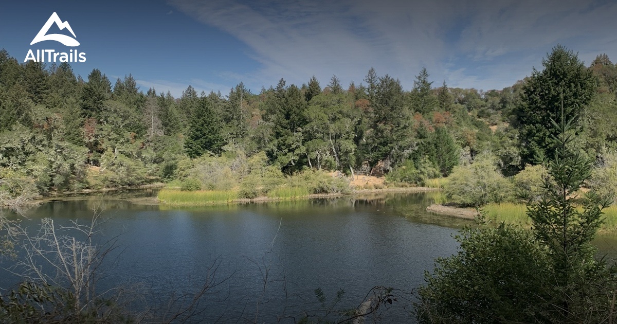 Bay Area Hikes with Kids | List | AllTrails