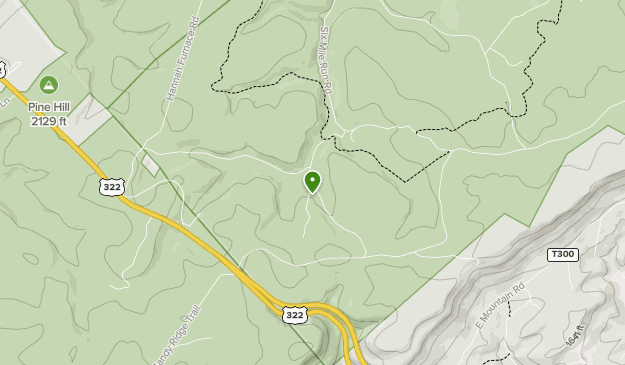 Kinzua Trail | List | AllTrails