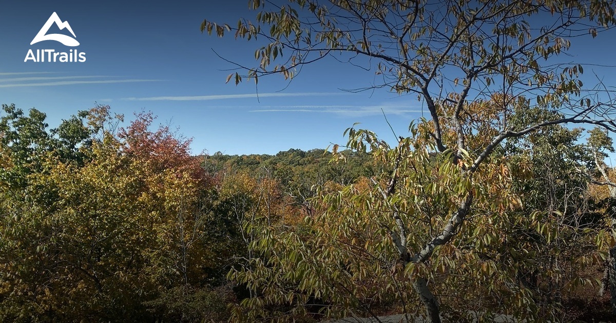 CT Blue trails | List | AllTrails