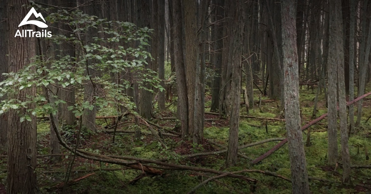 Chief Fin List | List | AllTrails