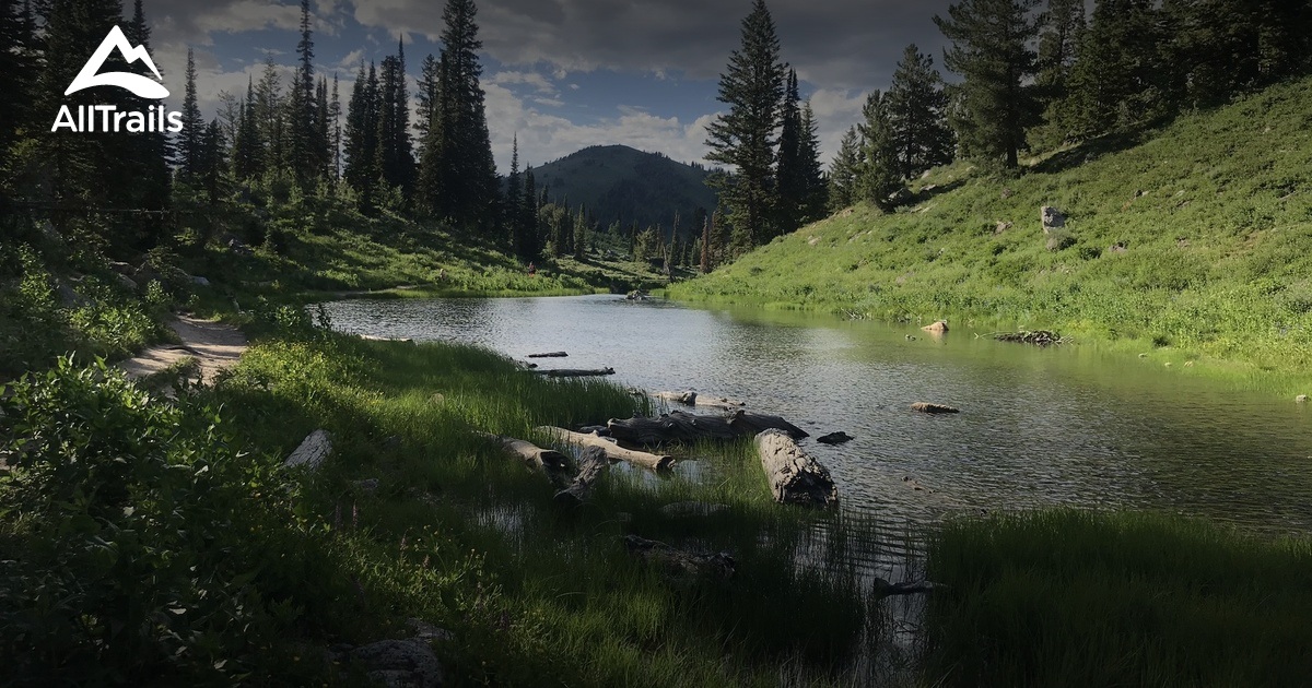 Drive to Hikes/Walks | List | AllTrails
