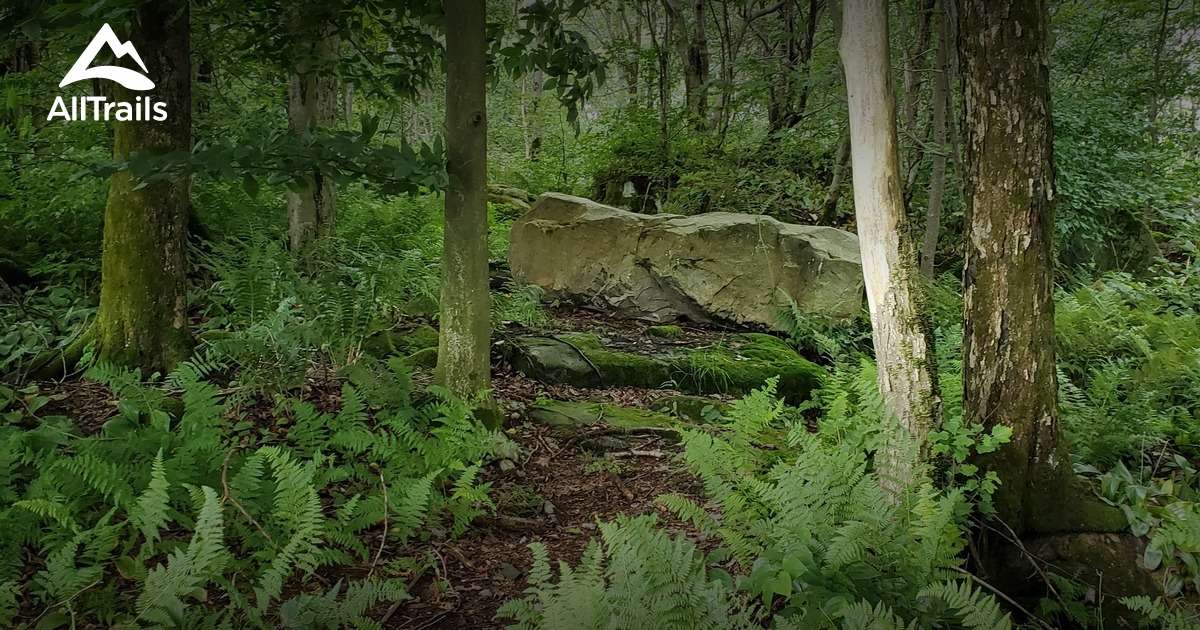 Forbes State Park | List | AllTrails