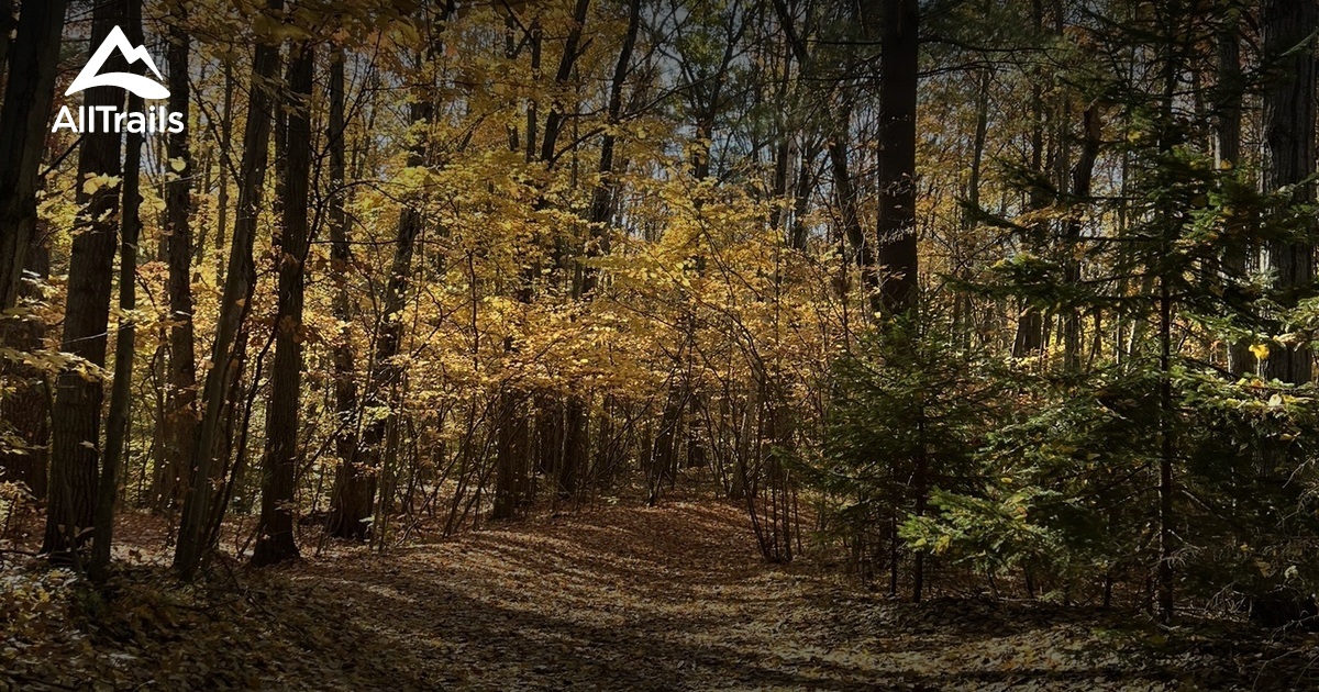 Midland City Forest | List | AllTrails