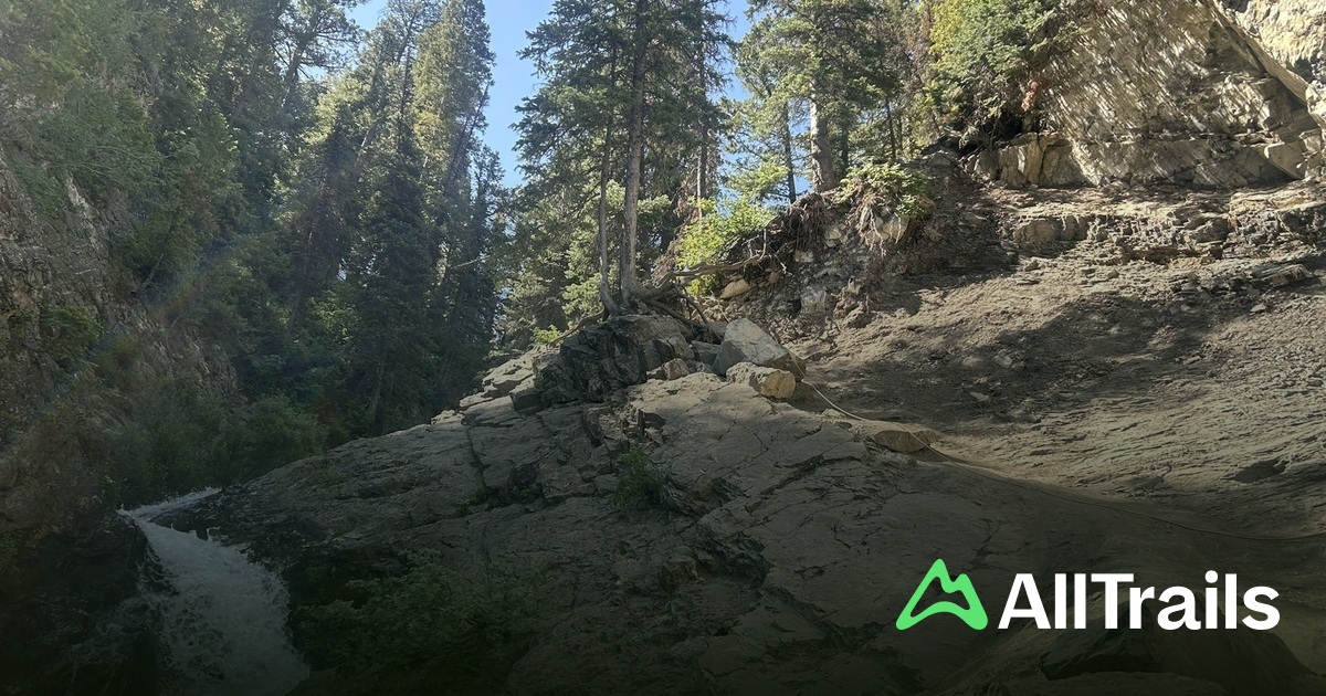 Kid friendly trail | List | AllTrails