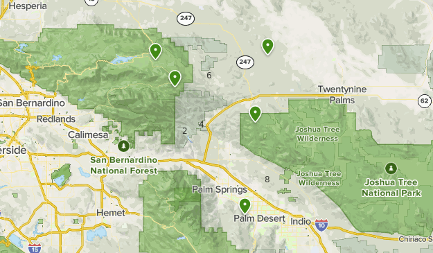 Yucca | List | AllTrails