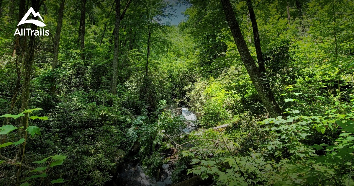 Sumter National Park | List | AllTrails