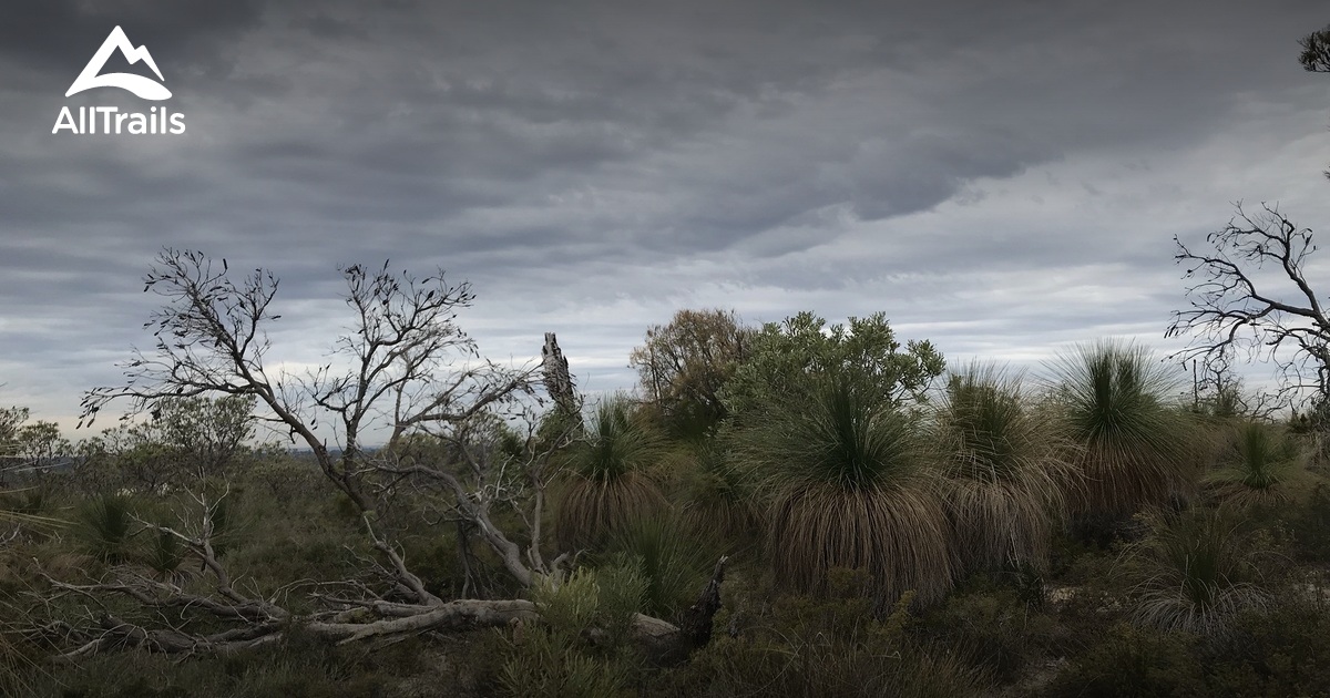 walks - loop | List | AllTrails