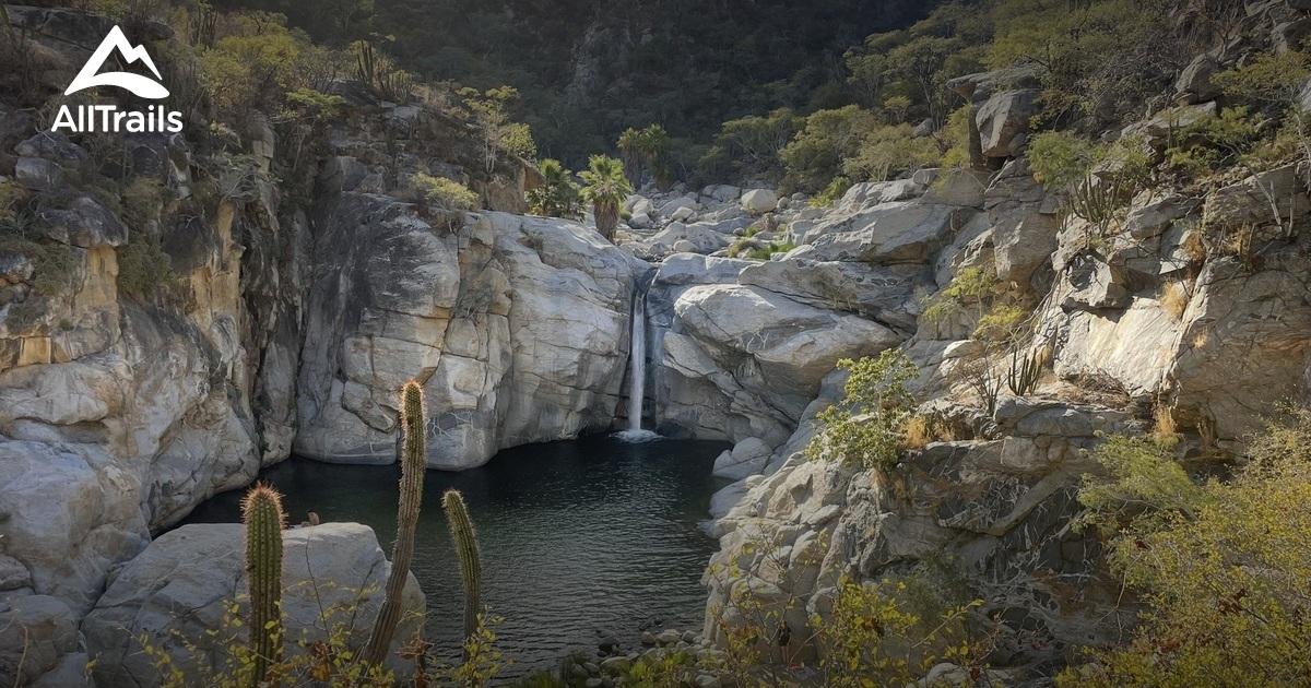 Todos Santos Trails | List | AllTrails