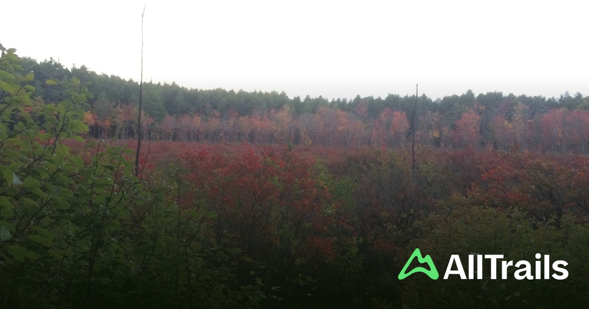 Dunbarton, NH | List | AllTrails