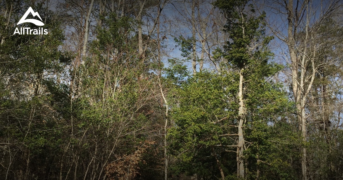 Eno River Trails | List | AllTrails