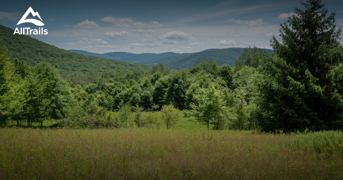 Catskill hikes (Easy) | List | AllTrails