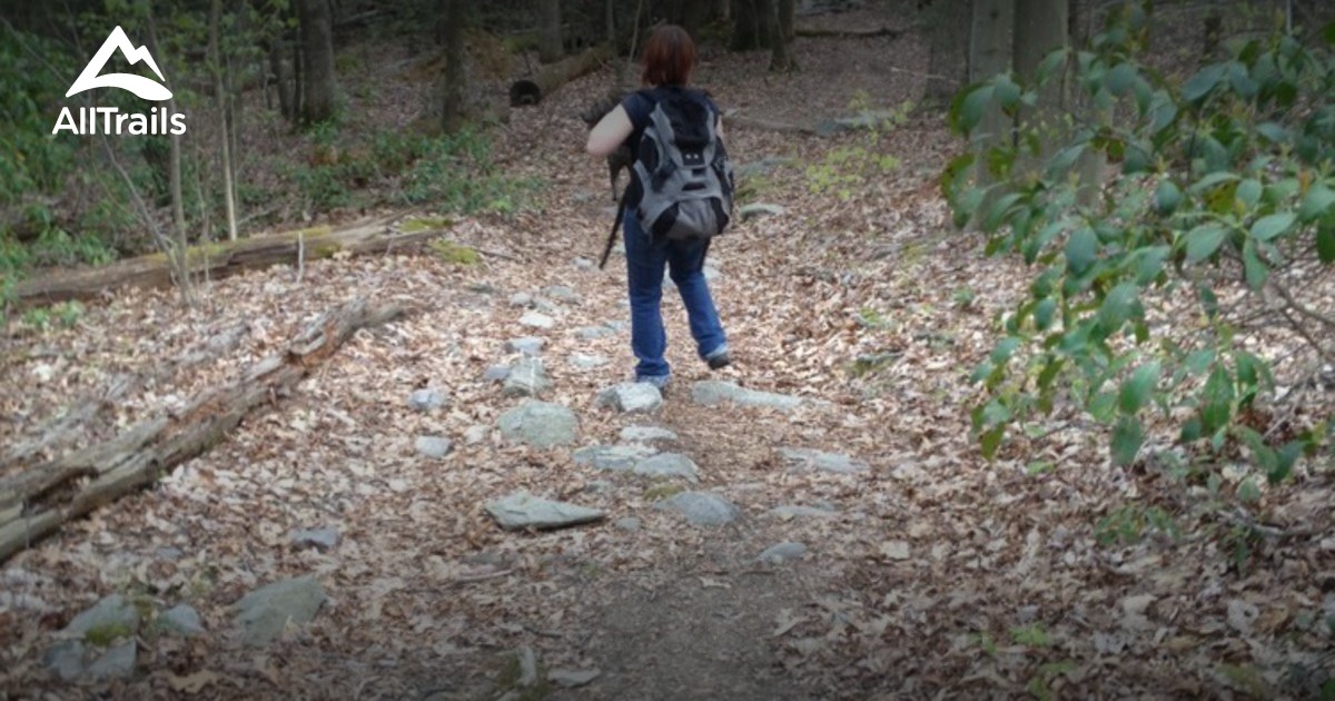 Lesser known trails | List | AllTrails