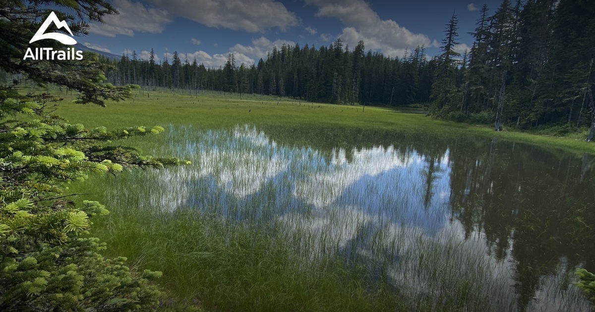 Wetland Hikes | List | AllTrails