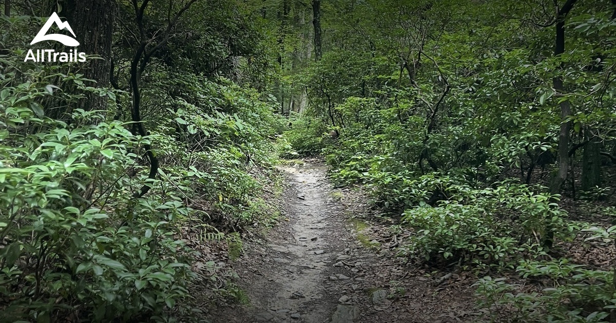 Lawn mower loop | List | AllTrails