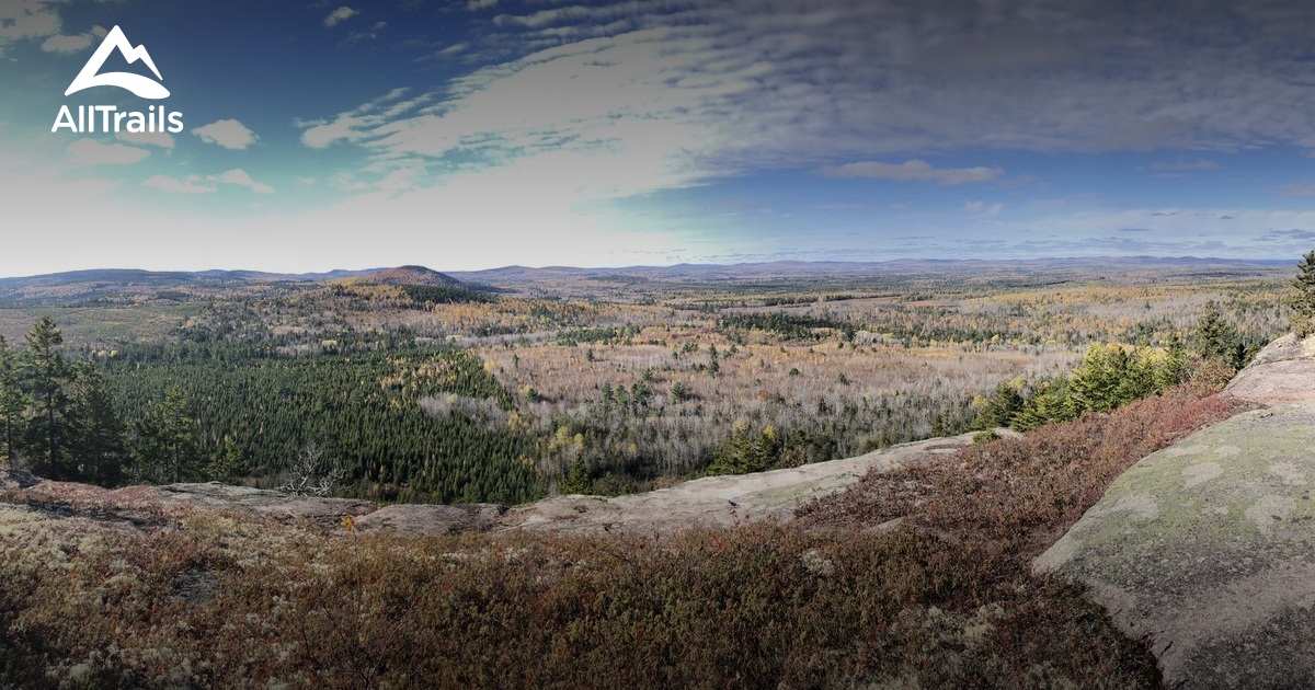 Oromocto Freddy Trails | List | AllTrails
