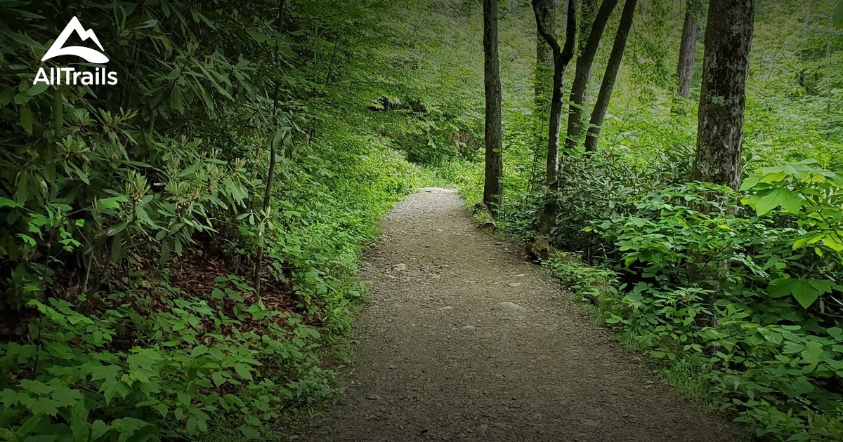 Open waterfall trails | List | AllTrails