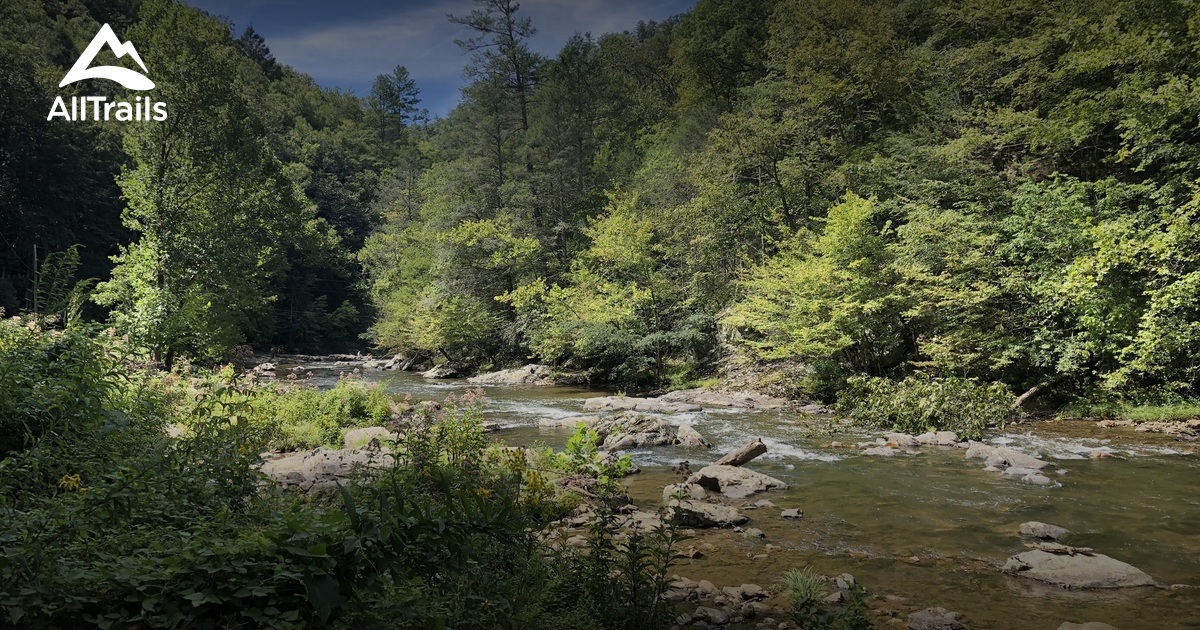 Laurel River Trail | List | AllTrails