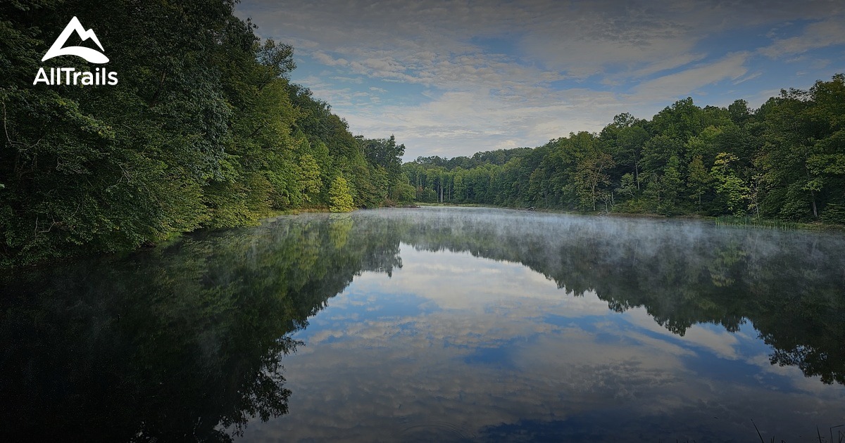 Morgan Monroe State Forest | List | AllTrails