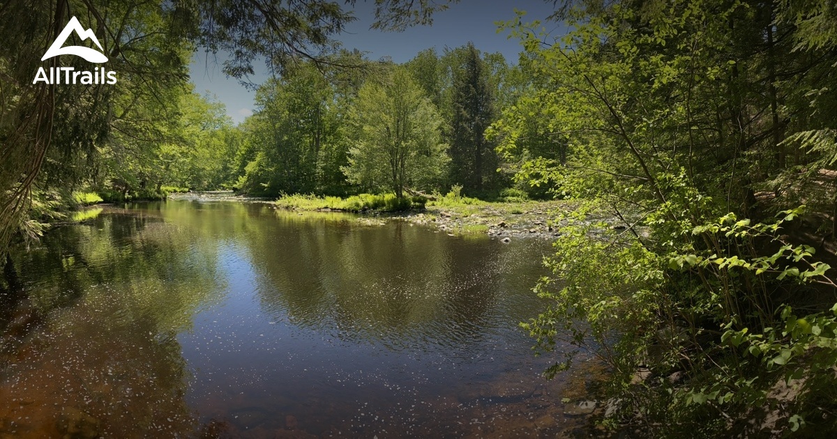 gonic trail | List | AllTrails