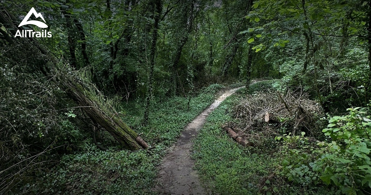 Less than 5 mile trails | List | AllTrails