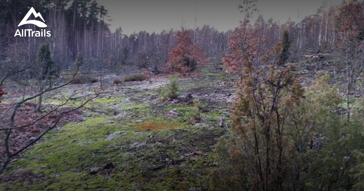 petla | List | AllTrails