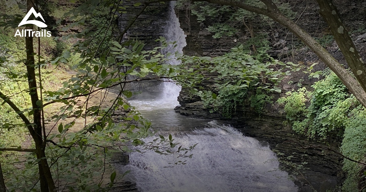 waterfalls with Alice | List | AllTrails