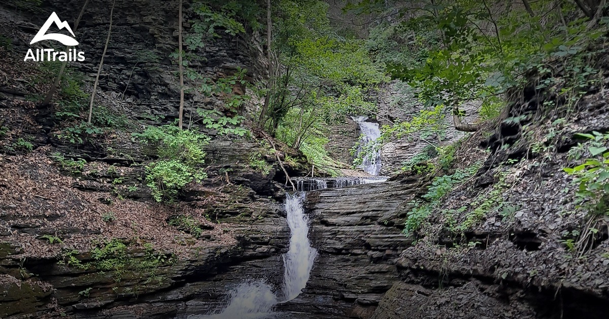 waterfalls with Alice | List | AllTrails