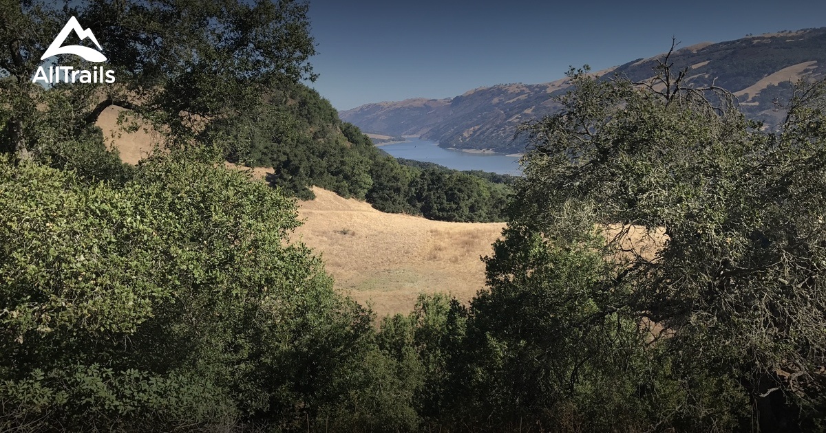 Harvey bear/coyete lake | List | AllTrails