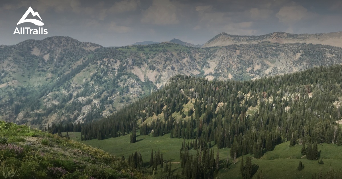 Yellowstone | List | AllTrails