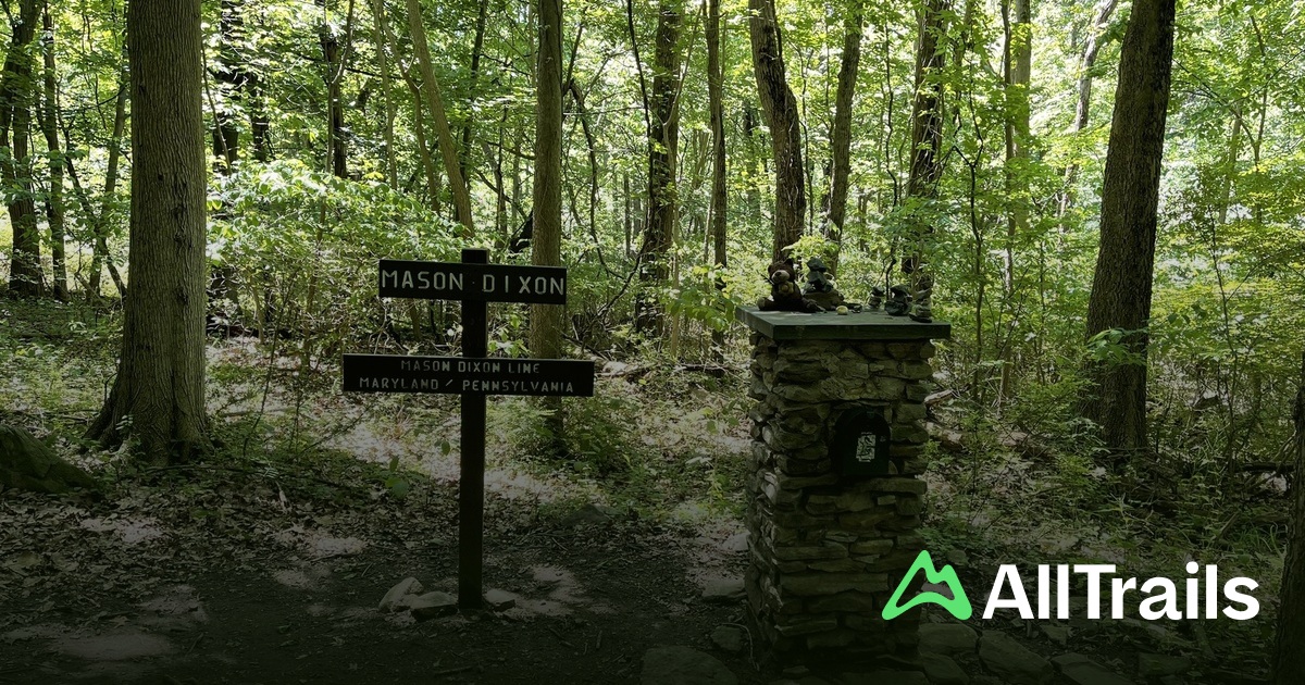 Michaux State Forest | List | AllTrails
