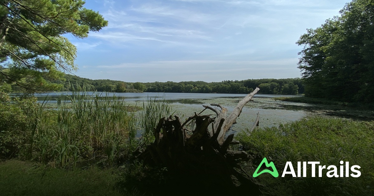Gun Lake | List | AllTrails