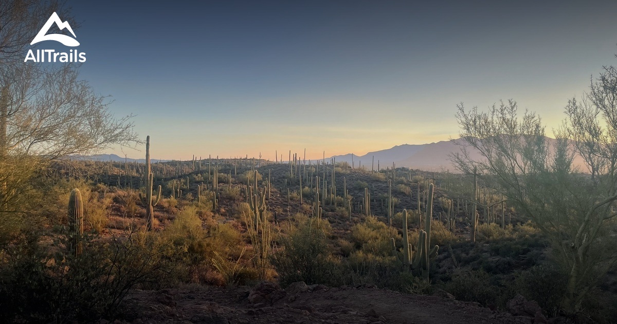Hikes in Tucson | List | AllTrails