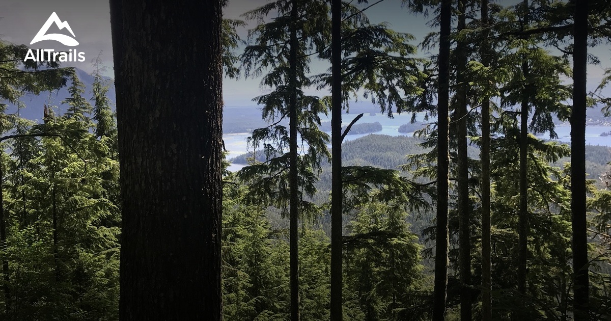 Pacific rim trails | List | AllTrails